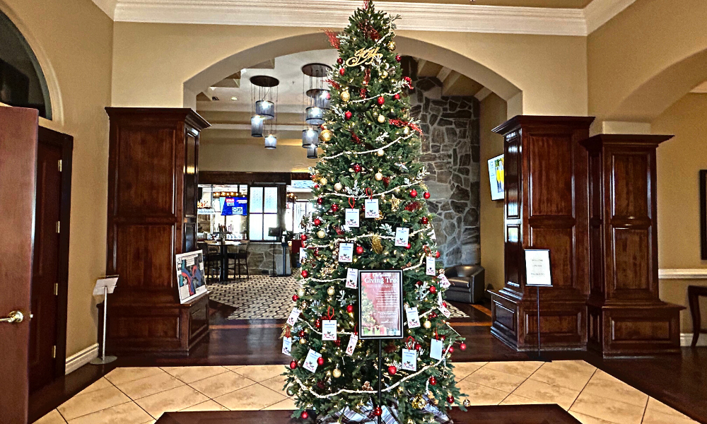 Brighten a Neighbor's Holiday: Join Our Community Christmas Project ...